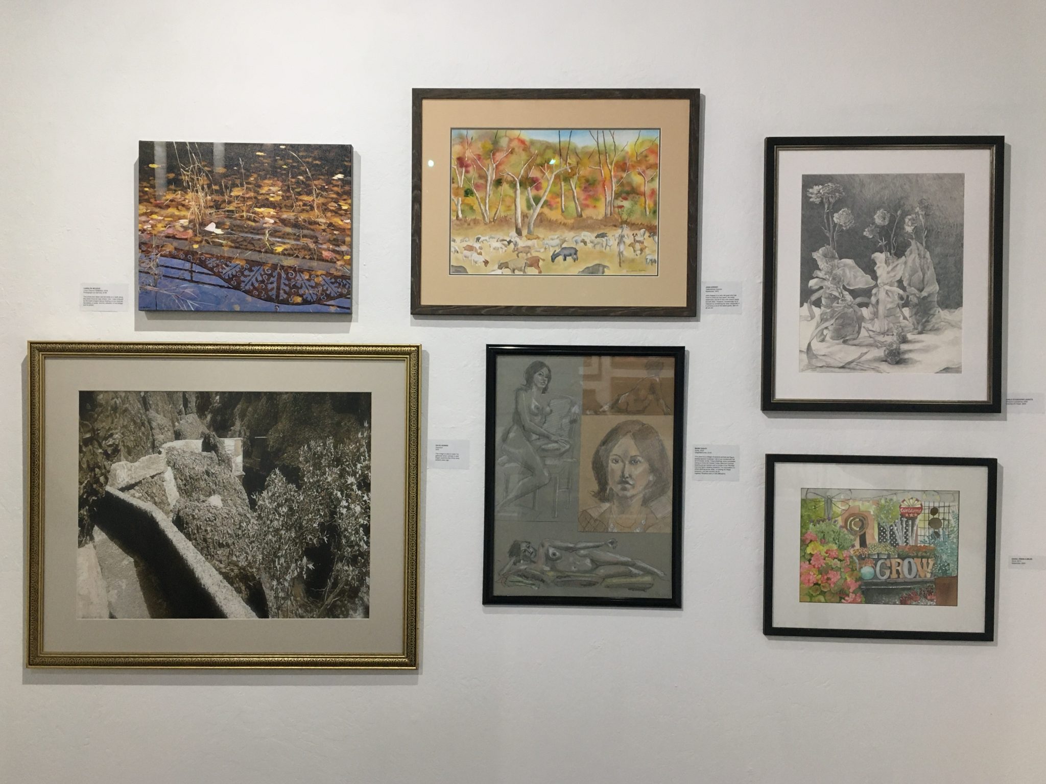 January 2020 | Member Showcase